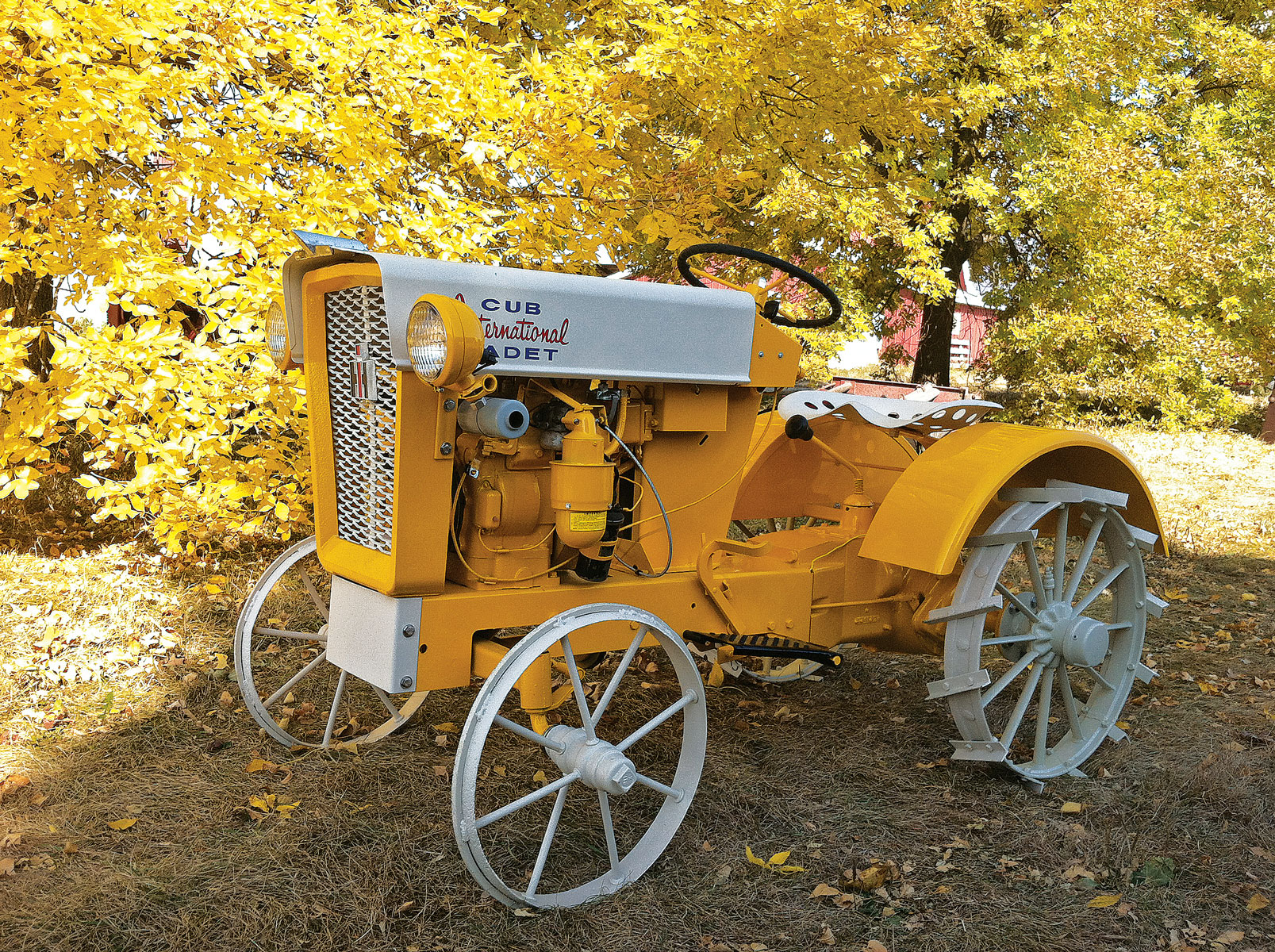 Dream of Owning IH Cub Cadet - Farm Collector